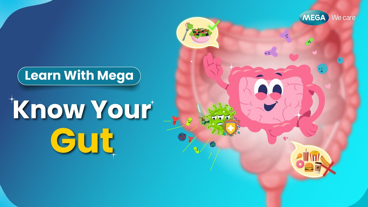 Know Your Gut: Essential Facts for Better Digestive Health | Mega We Care