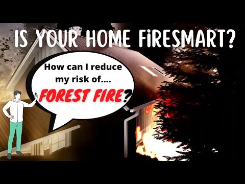 Is your home at risk of forest fire? Watch these fire prevention tips!