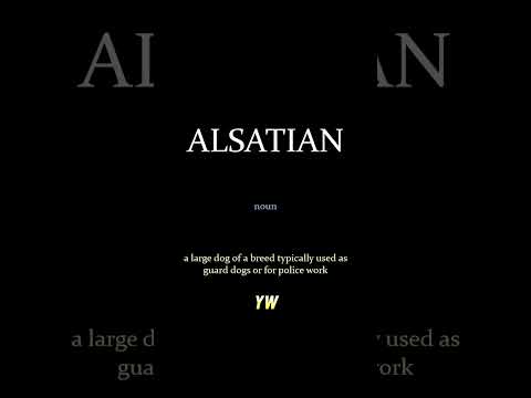 Alsatian #How to pronounce and meaning of the word #learnenglish #vocab #vocabulary #english learn