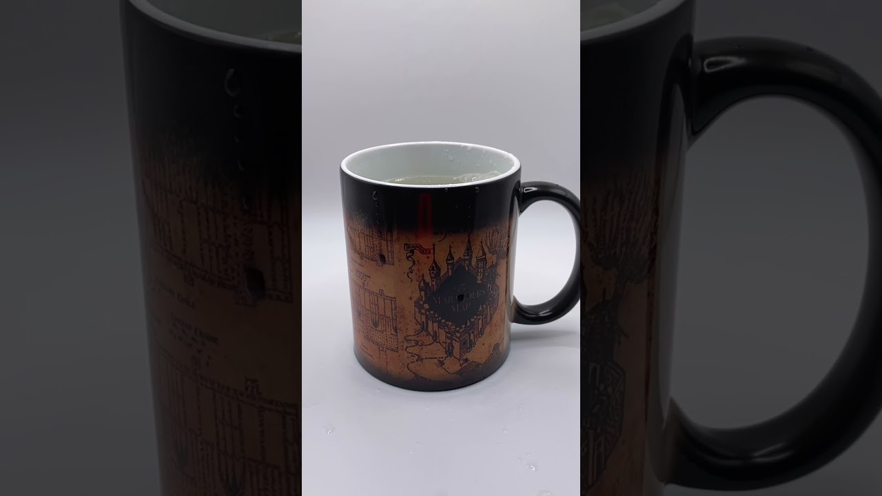 Harry Potter Thermo Mug