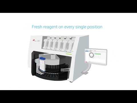 Biological Stains - Microbiology Stains Latest Price, Manufacturers ...