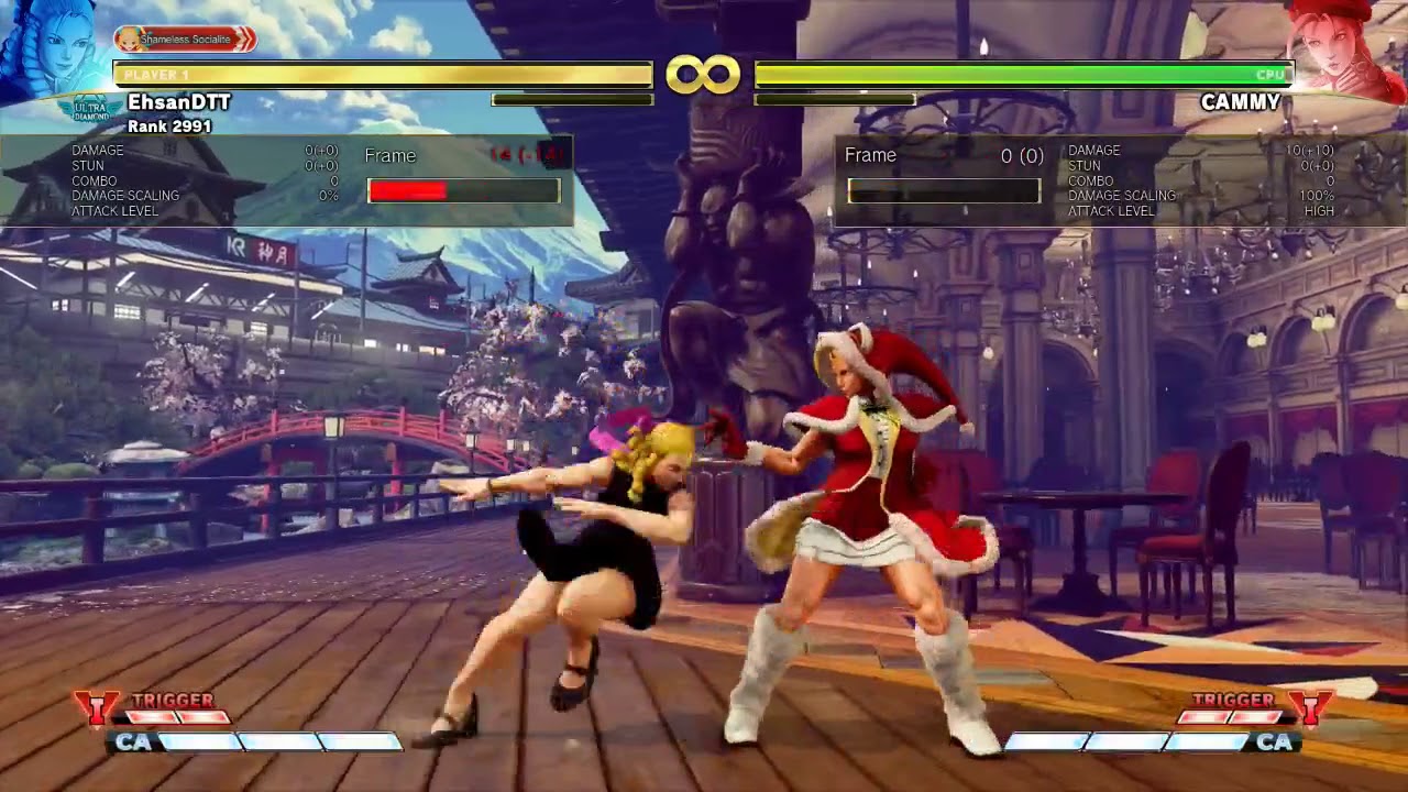 Karin Video Guide Part 1: The Basics