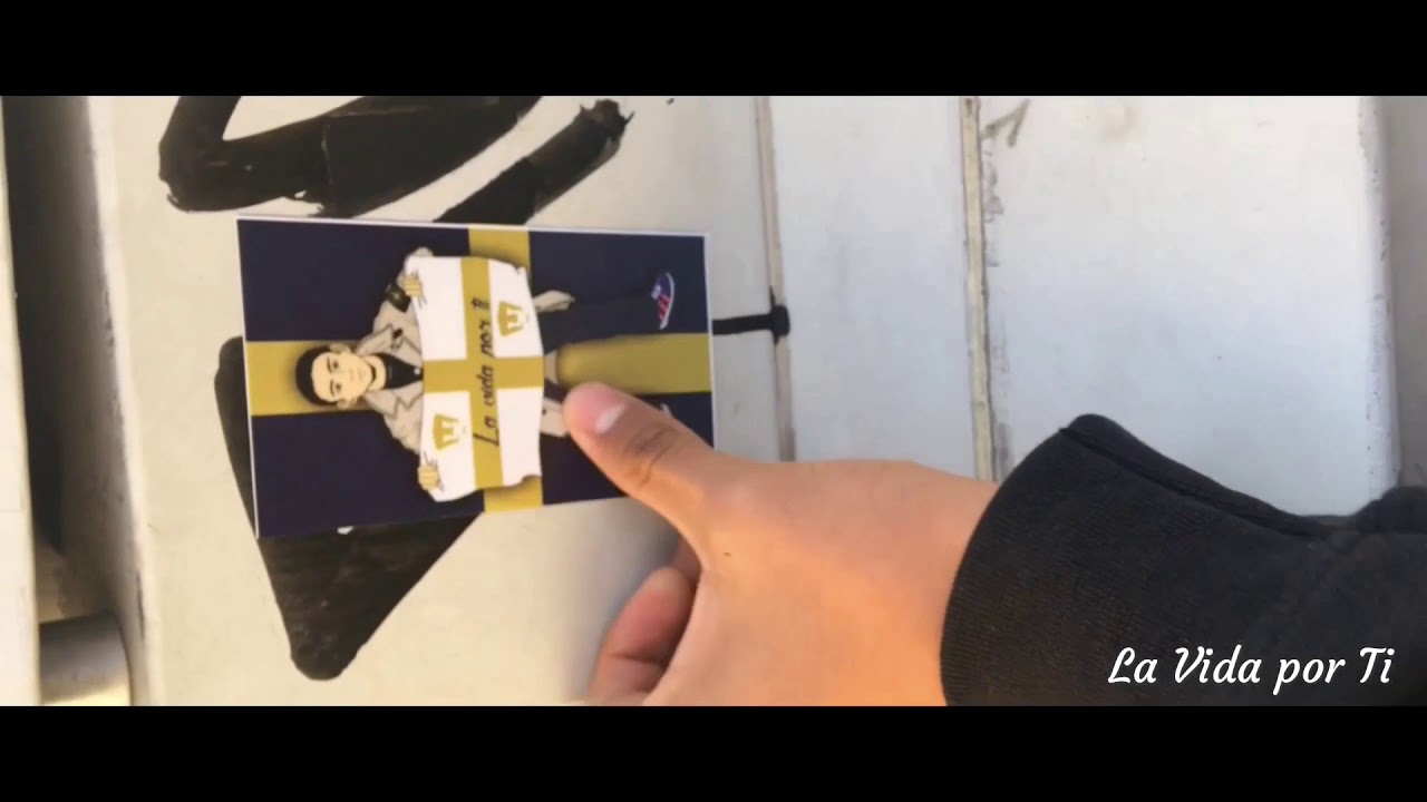 Pumas Stickers