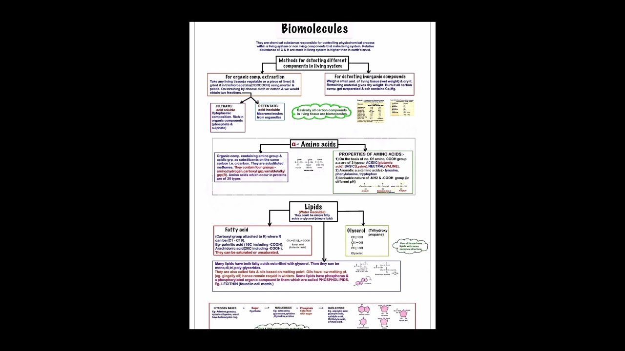 Biology class 11th mind map of chapter Biomolecules #studytoday #biology #biologyclass  #study