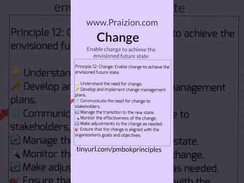 PMI 12 Principles for PMP Exam: Change #12 ????????