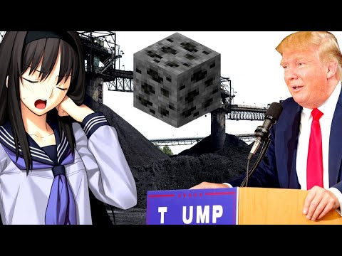 The Coal Industry and its Consequences