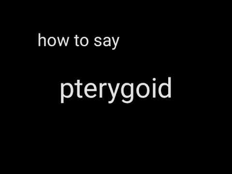 how to pronounce pterygoid