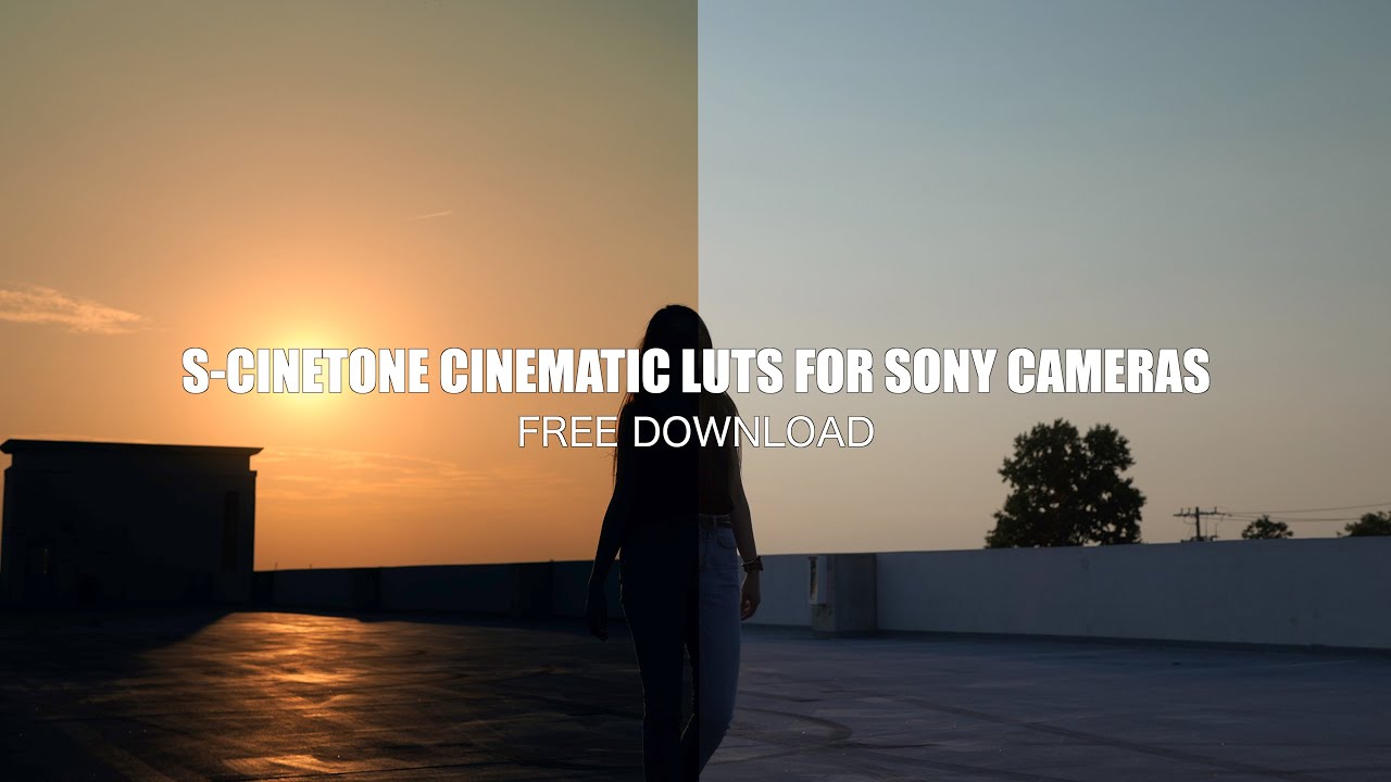 S-Cinetone Cinematic LUT Pack for Sony | SIII | FX3 | FX6 - Free LUT Pack Download