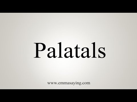 How To Say Palatals