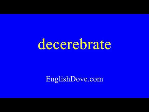 How to pronounce decerebrate in American English