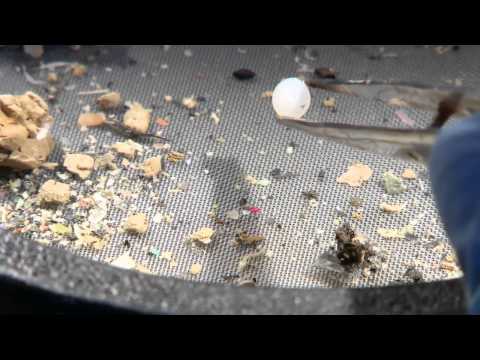 UW|360: Urban Waters