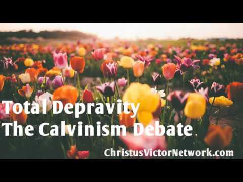 THE PROVISIONIST VIEW OF ROMANS 3:10 | THE SCOTTTCAST