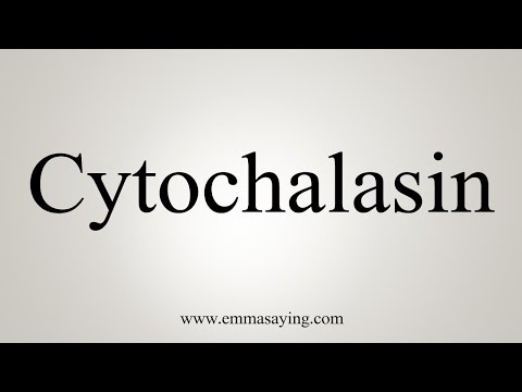 How To Say Cytochalasin
