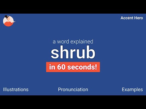 SHRUB - Meaning and Pronunciation