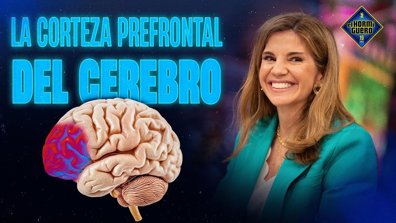 Todo lo que debes saber sobre la corteza prefrontal - Marian Rojas Estapé - El Hormiguero