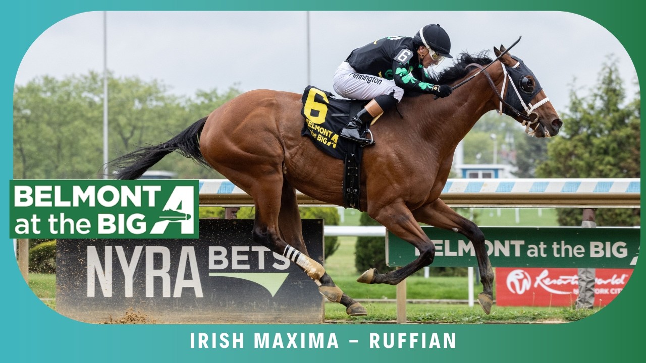 Irish Maxima - 2026 - Ruffian