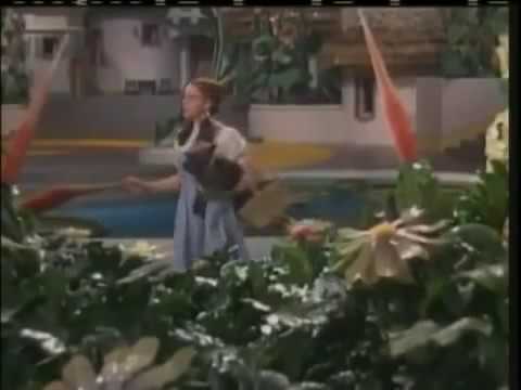 Wizard of oz books first edition collection segment.