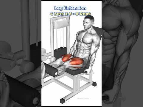 FAST TRACK Your Legs Workout for MAXIMUM Gains in 2025!