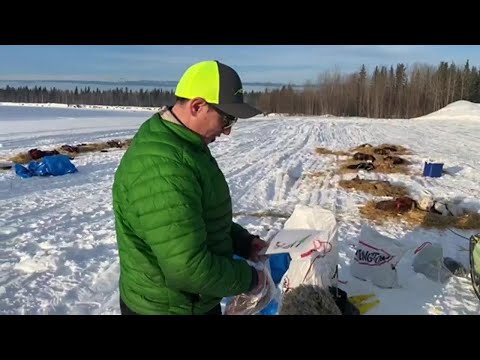What do mushers eat on the Iditarod trail?