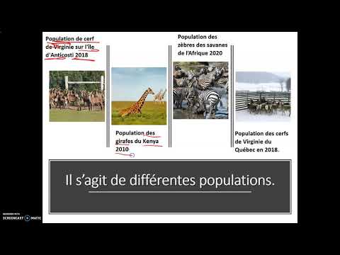 Définition de la population