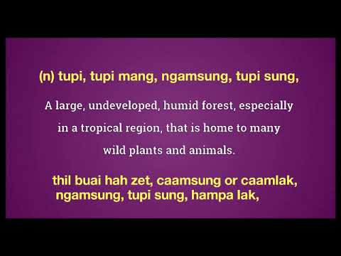 Jungle meaning in English Ngawn