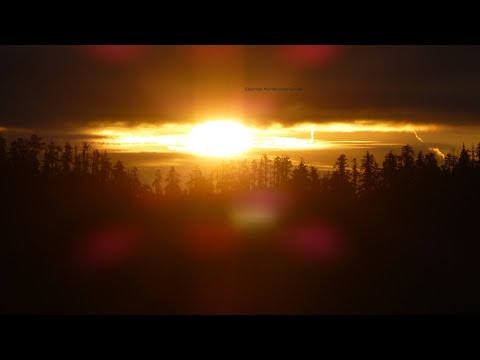 Video Client Feedback | Mindful Therapy Testimonial #3