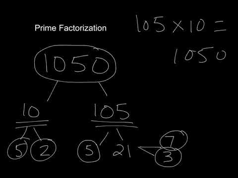 prime factorization grade 8