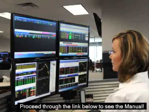 Join Penny Stock Egghead 1Trade-a Week Team - get downloadable Guide on Penny Stock Trading!
