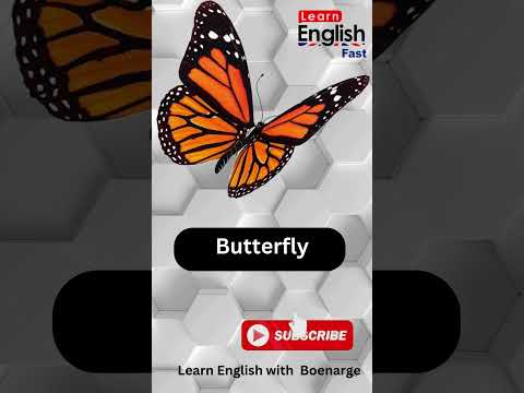 The BEST Way to Master English Speaking with IKI NI IKI?