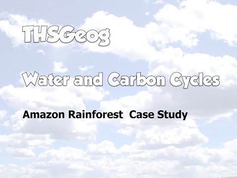 Water and Carbon Cycles - Amazon Case Study