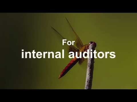 Grow and develop with our internal audit training courses