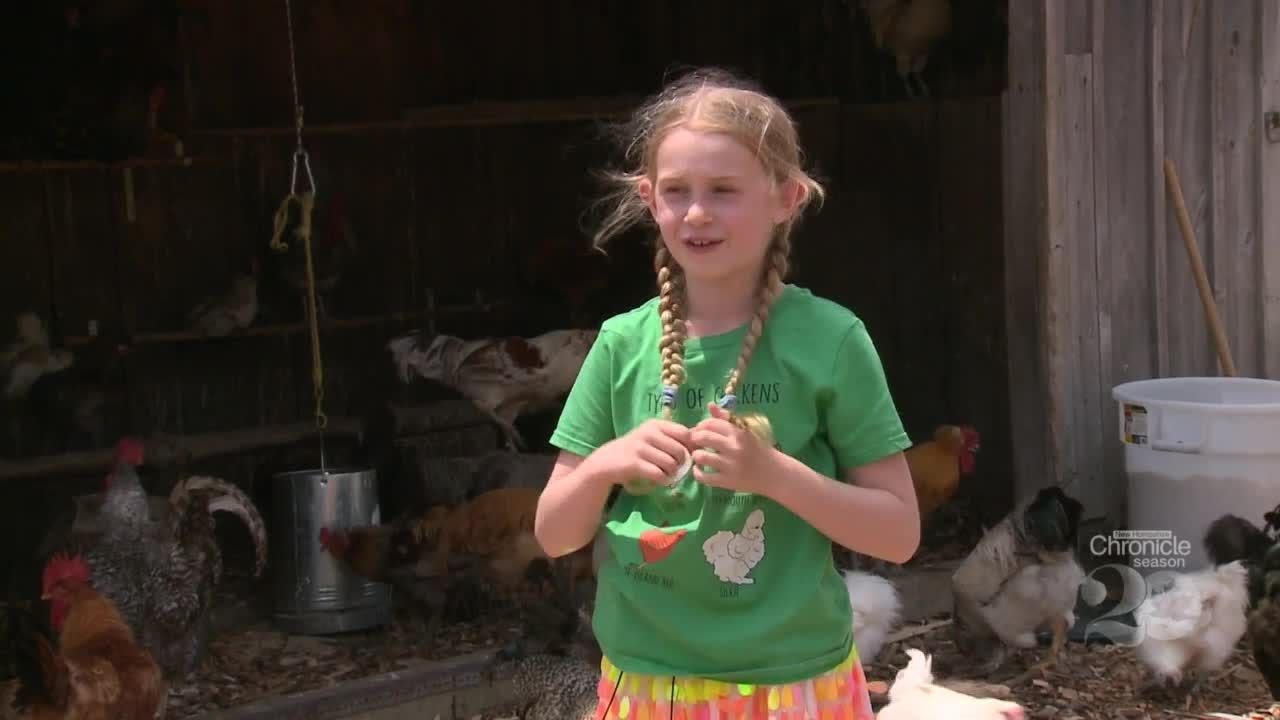 New Hampshire Chronicle: Henfetti Rooster Sanctuary in Chichester