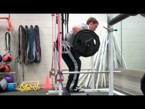 Functional Hypertrophy Program (Beginner-Intermediate) | All Go Fitness