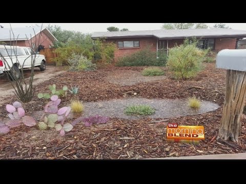 Watershed Management Group