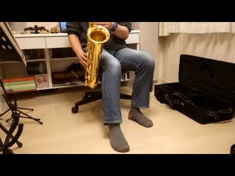 Rico Reed Guard IV Tenor/Bar Sax iMuso