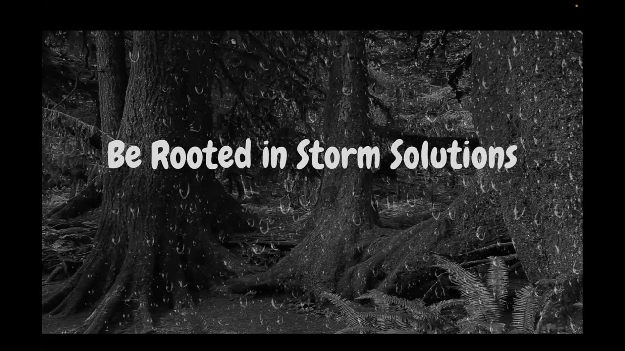 Urban Tree Canopies and Stormwater