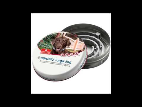 Bayer Seresto Flea and Tick Collar for Dogs