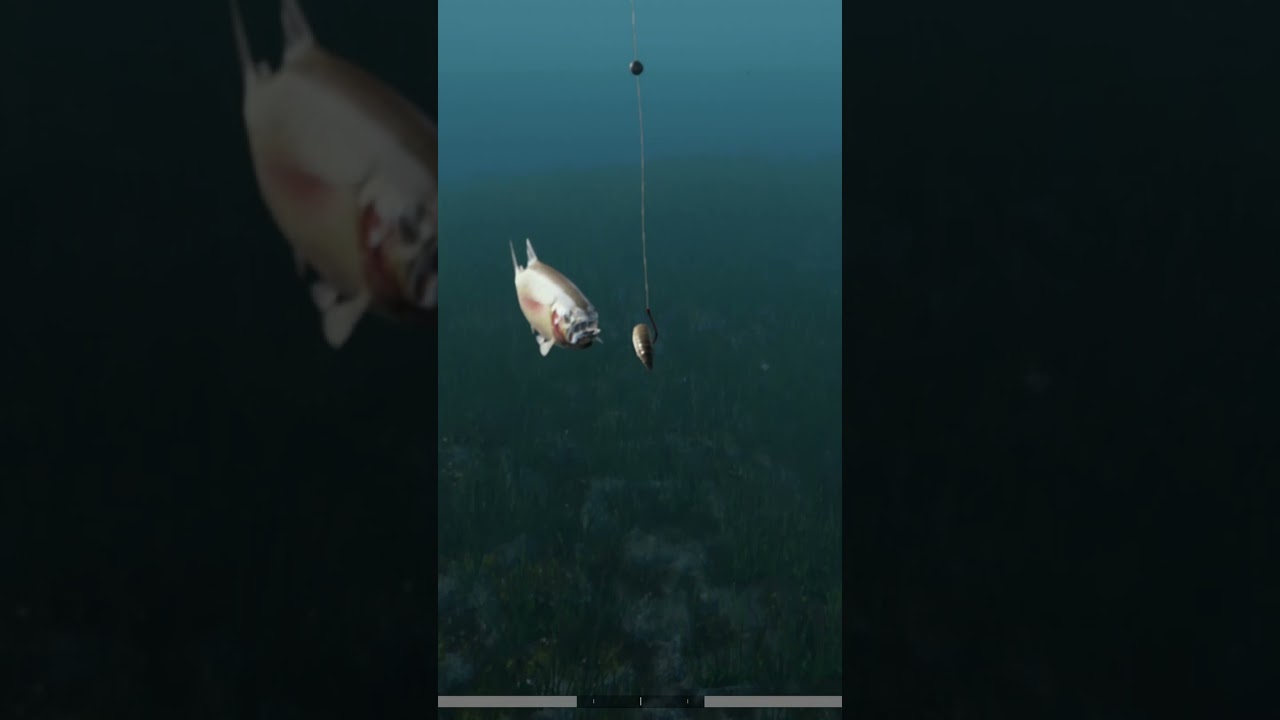 Ultimate fishing simulator Cutthroat Trout @multispeciesfishingmarina