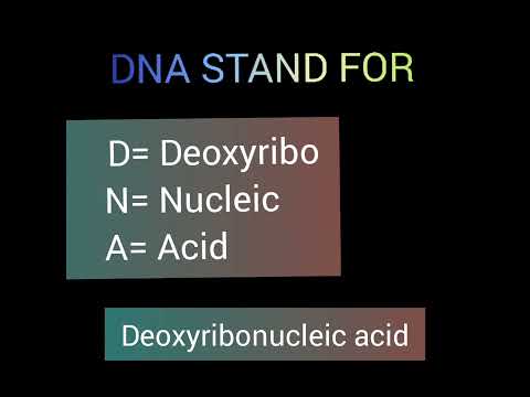 some important full forms / DNA and RNA full form/ ADP and ATP full form