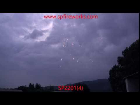 SP2201(4)