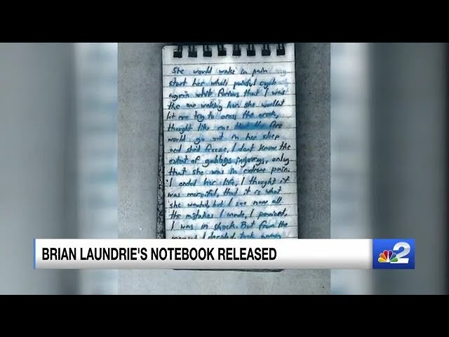 Brian Laundrie confession: Notebook transcript reveals 'mercy killing ...
