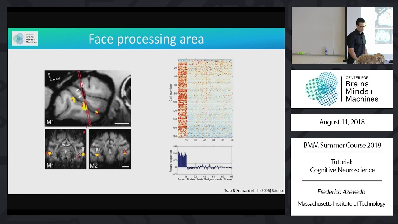 Tutorial: Cognitive Neuroscience