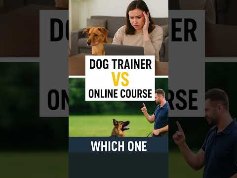 Dog Trainer vs Online Course – Which One’s Best for YOUR Dog? #dogtraining #onlinedogtraining