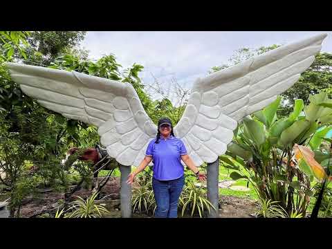 2024 Bohol Enchanted Zoological & Botanical Garden in Bilar, Bohol Philippines