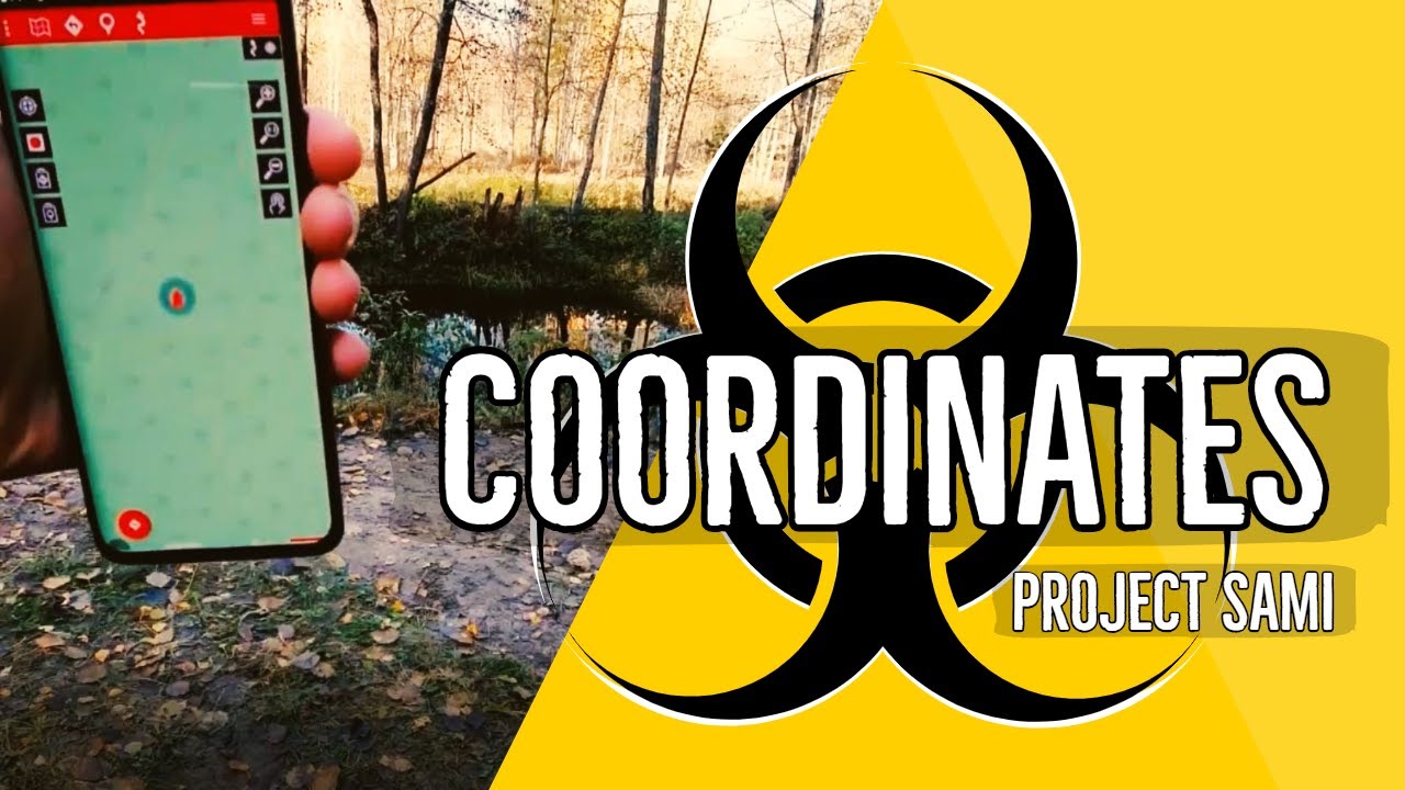 Coordinates (Interactive video)