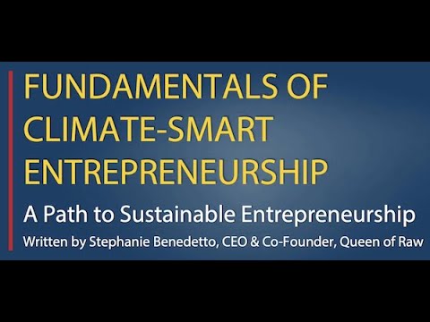 Lesson 1- A Path to Sustainable Entrepreneurship