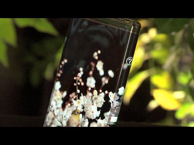 SEL demos the most bendable mobile display that can wrap around phone ...