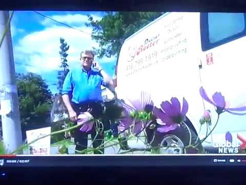 416 Numbers Business Toronto Global News