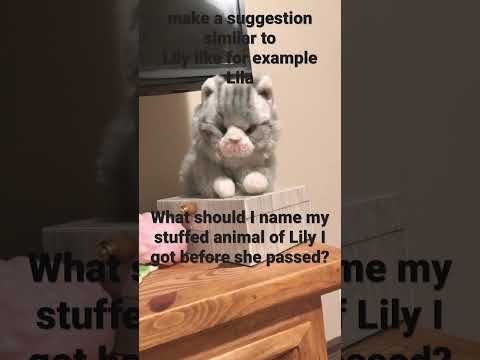 What should I name my stuffed animal of Lily I got before she passed away?