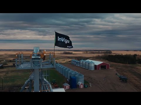 Start strong with BASF and InVigor hybrid canola | BASF